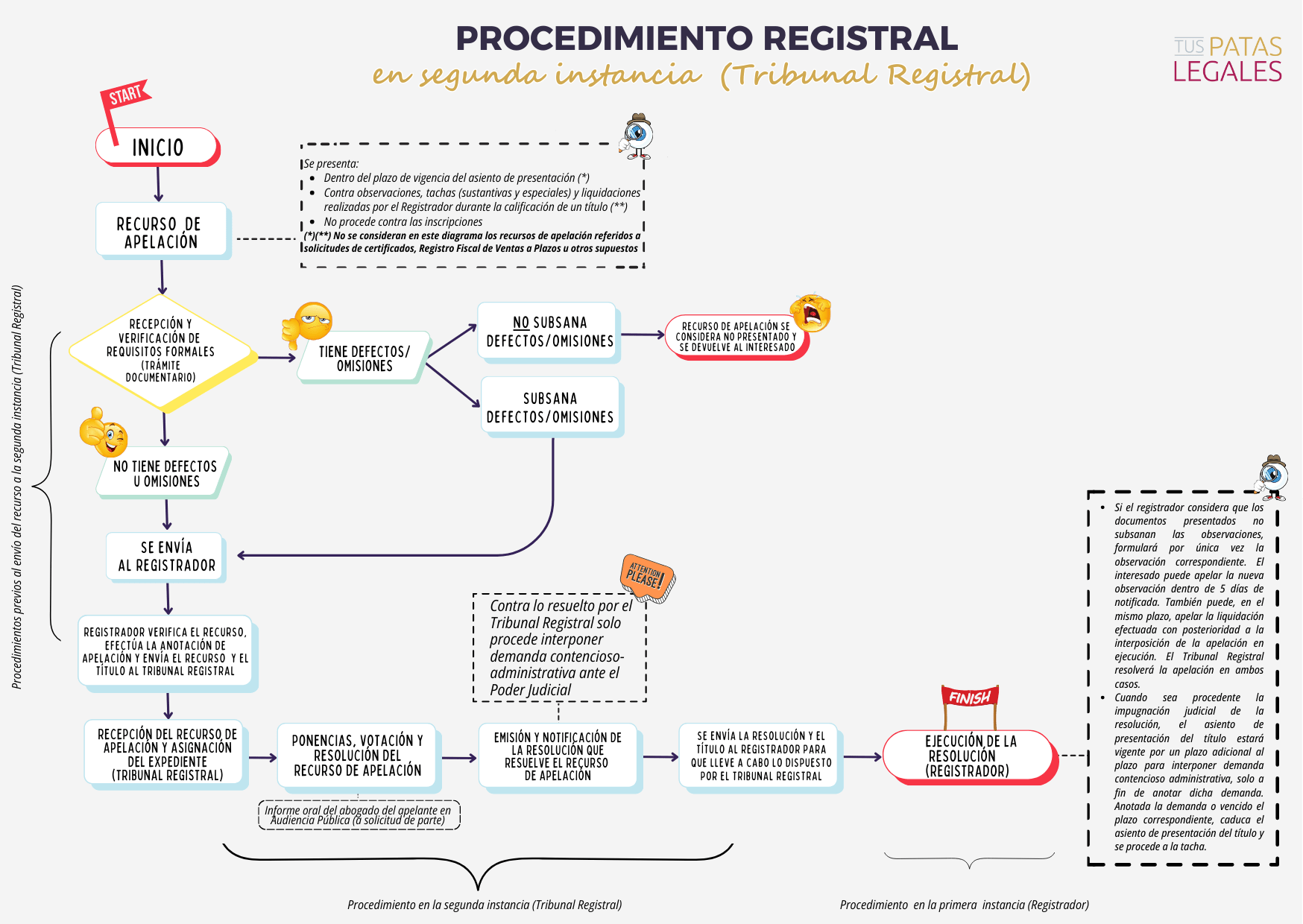 El procedimiento registral paso a paso • Tus Patas Legales